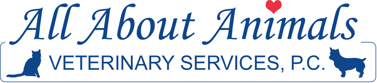 Our Careteam | All About Animals Veterinary Services